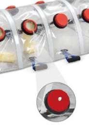 Isolation stretcher – Health Mart UAE